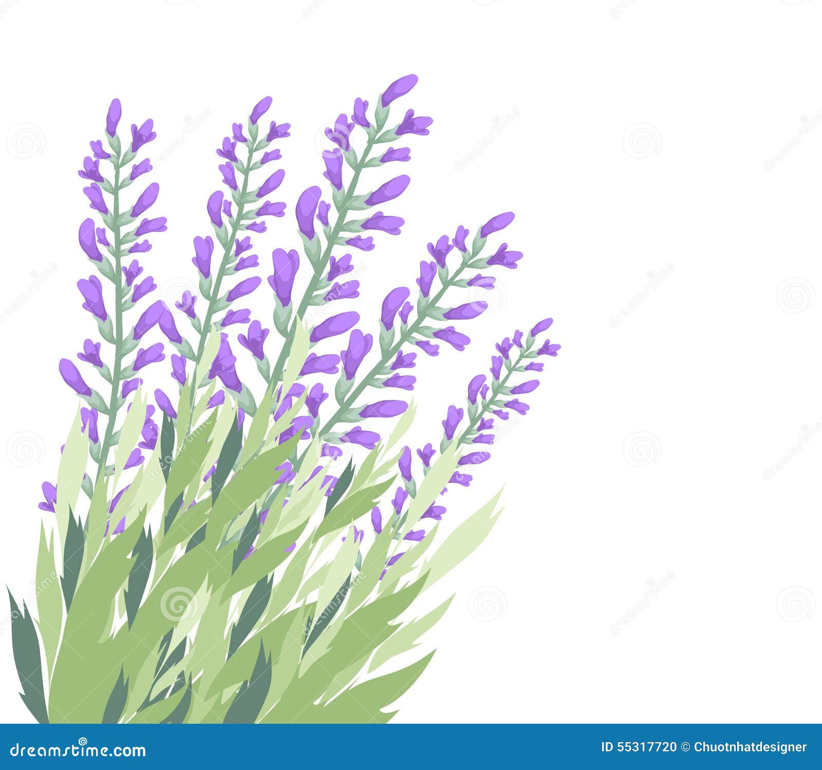 Watercolour Lavender Flower Card Stock Illustration - Illustration of ...