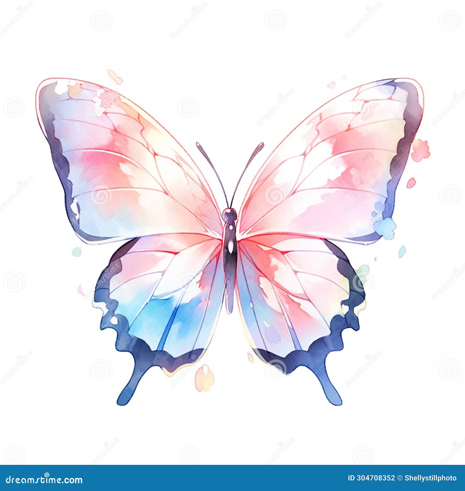 Watercolour Painted Butterfly Illustration Splatter Design Stock ...