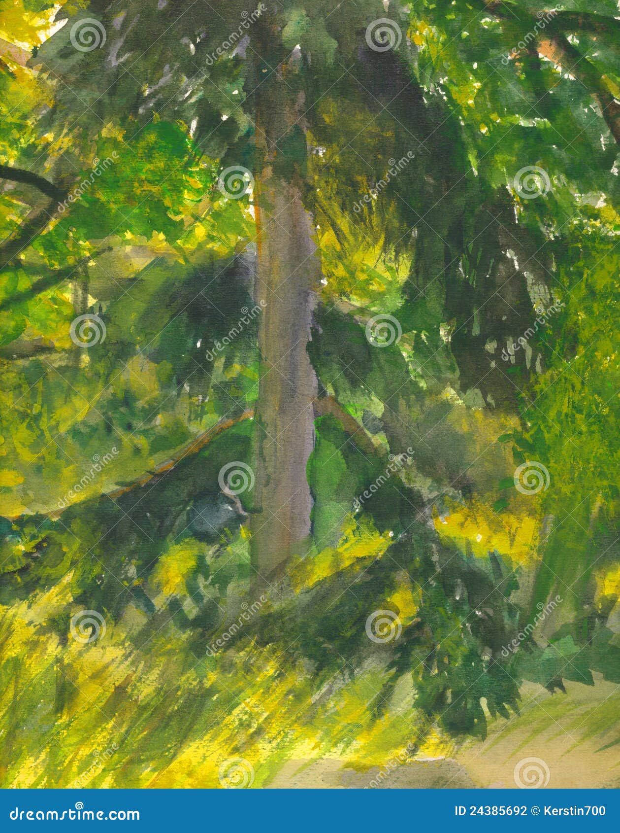Watercolour Painting of a Fir Tree Stock Illustration - Illustration of ...