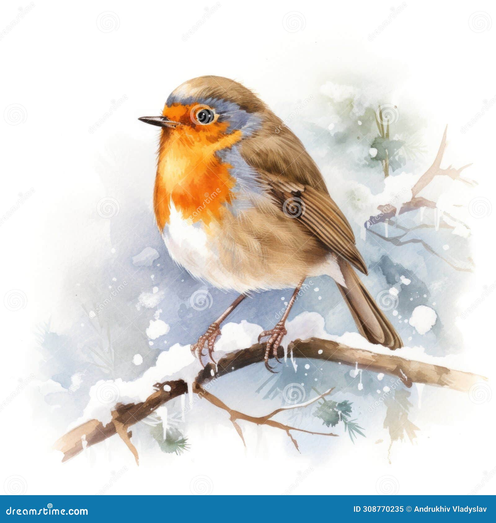Watercolour of a Robin Redbreast Bird in the Winter Snow Stock ...
