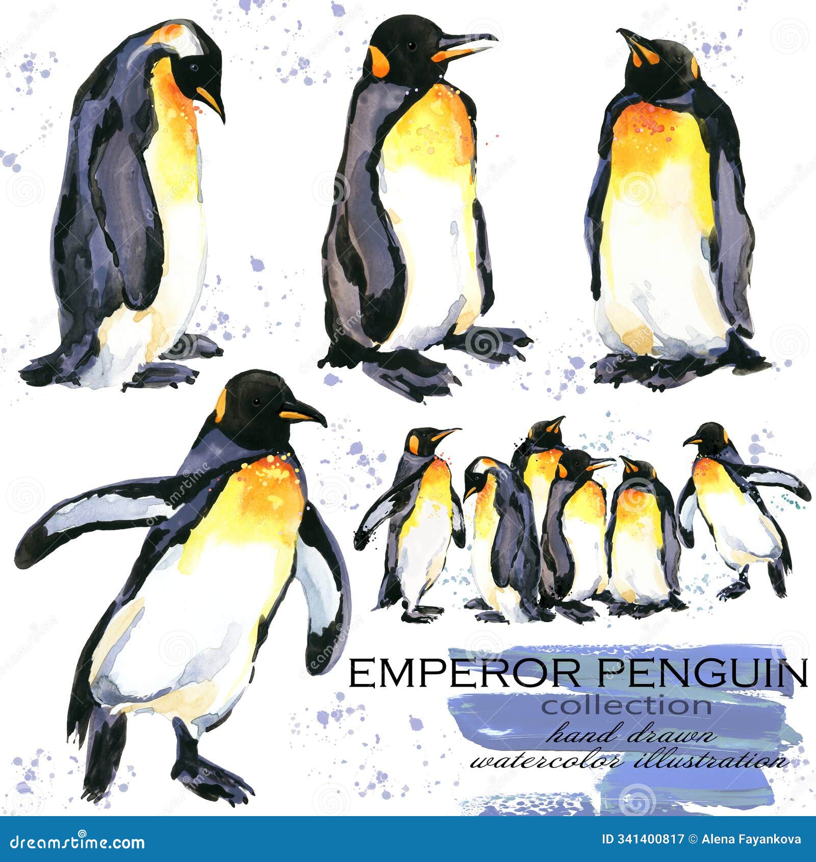 Emperor Penguin And Cute Baby. Adult With Juveniles. Small Family Set ...