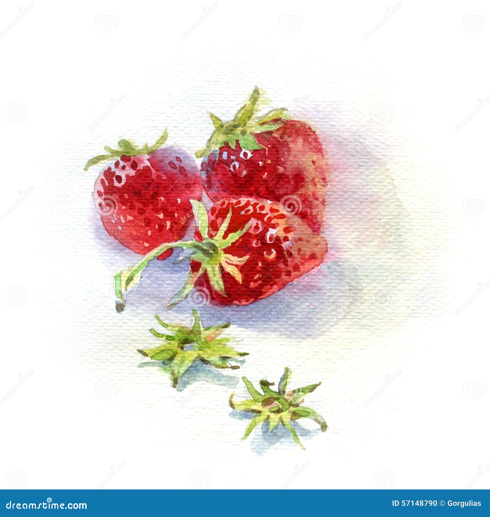 Watercolour strawberry stock illustration. Illustration of juicy - 57148790