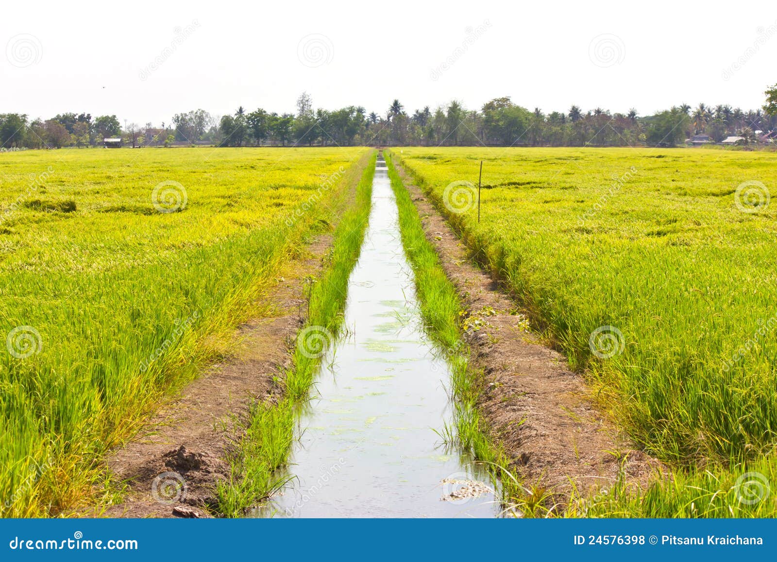 Watercourse Royalty Free Stock Photos - Image: 24576398