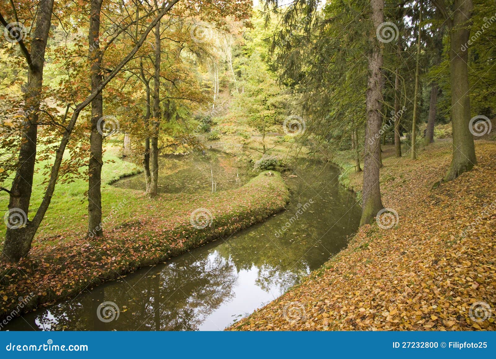 Watercourse stock photo. Image of countryside, pine, fall - 27232800