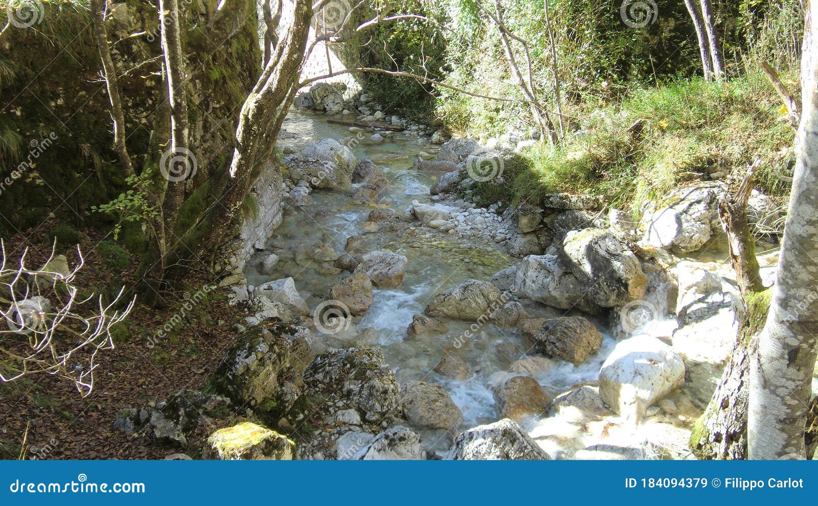 Watercourse in the Dolomites Stock Image - Image of altoadige, brook ...
