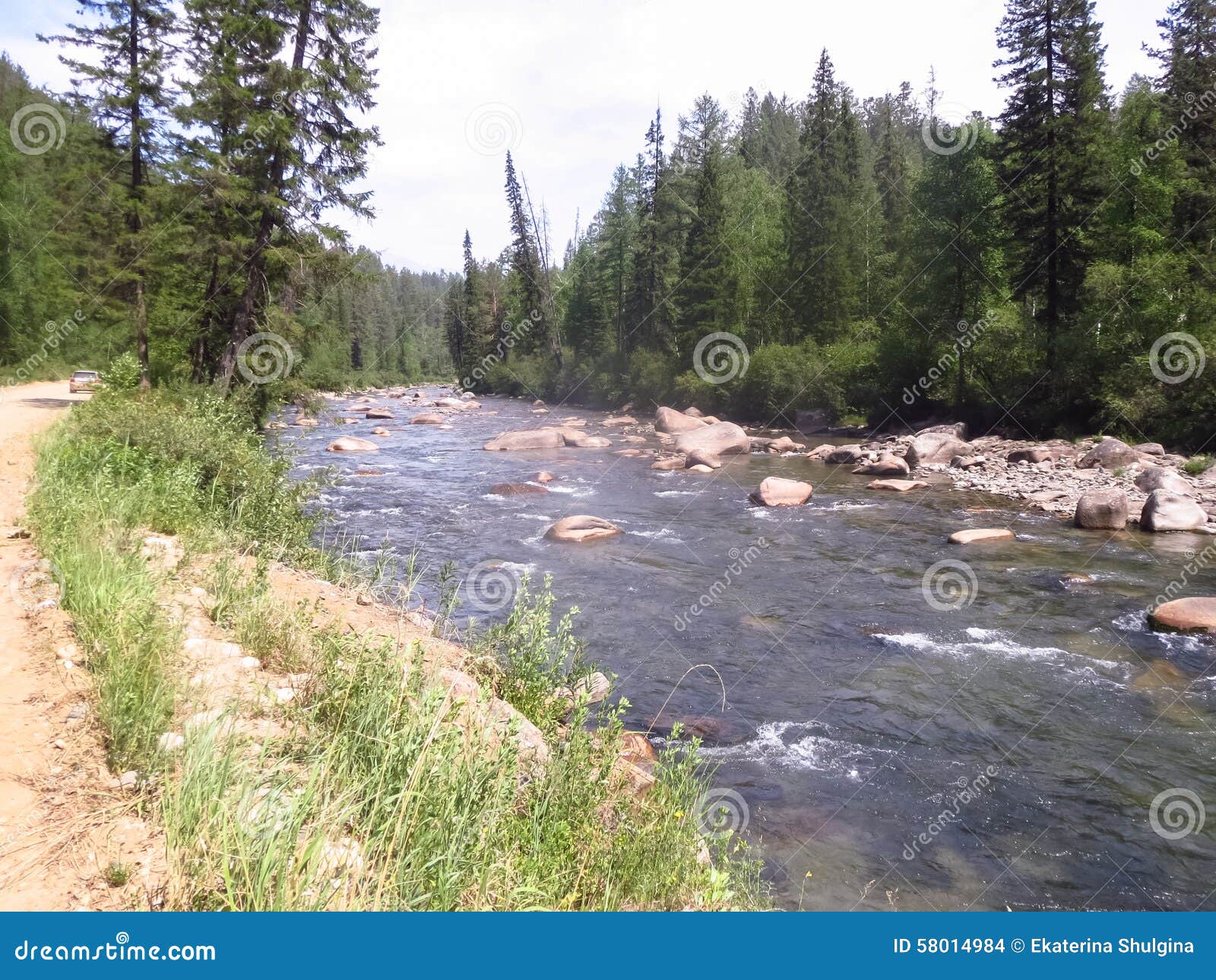 Watercourse stock photo. Image of green, wave, plant - 58014984