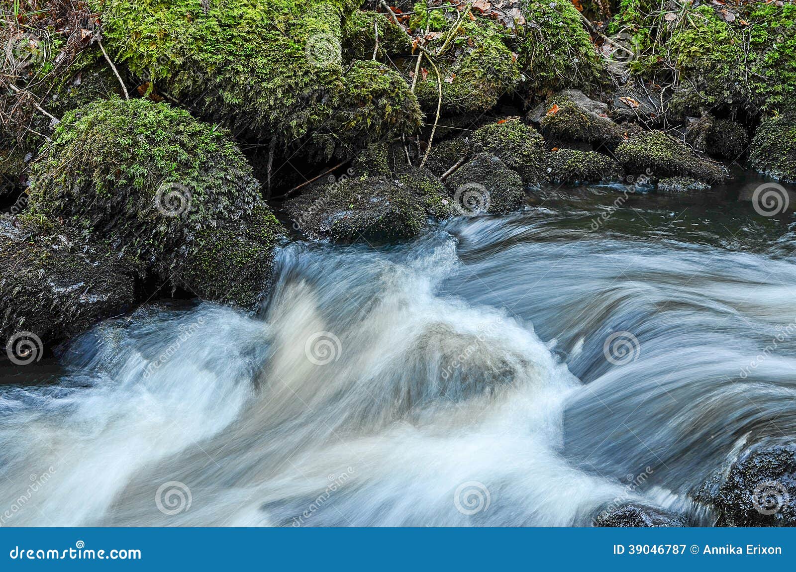 Watercourse stock image. Image of brook, moss, movement - 39046787