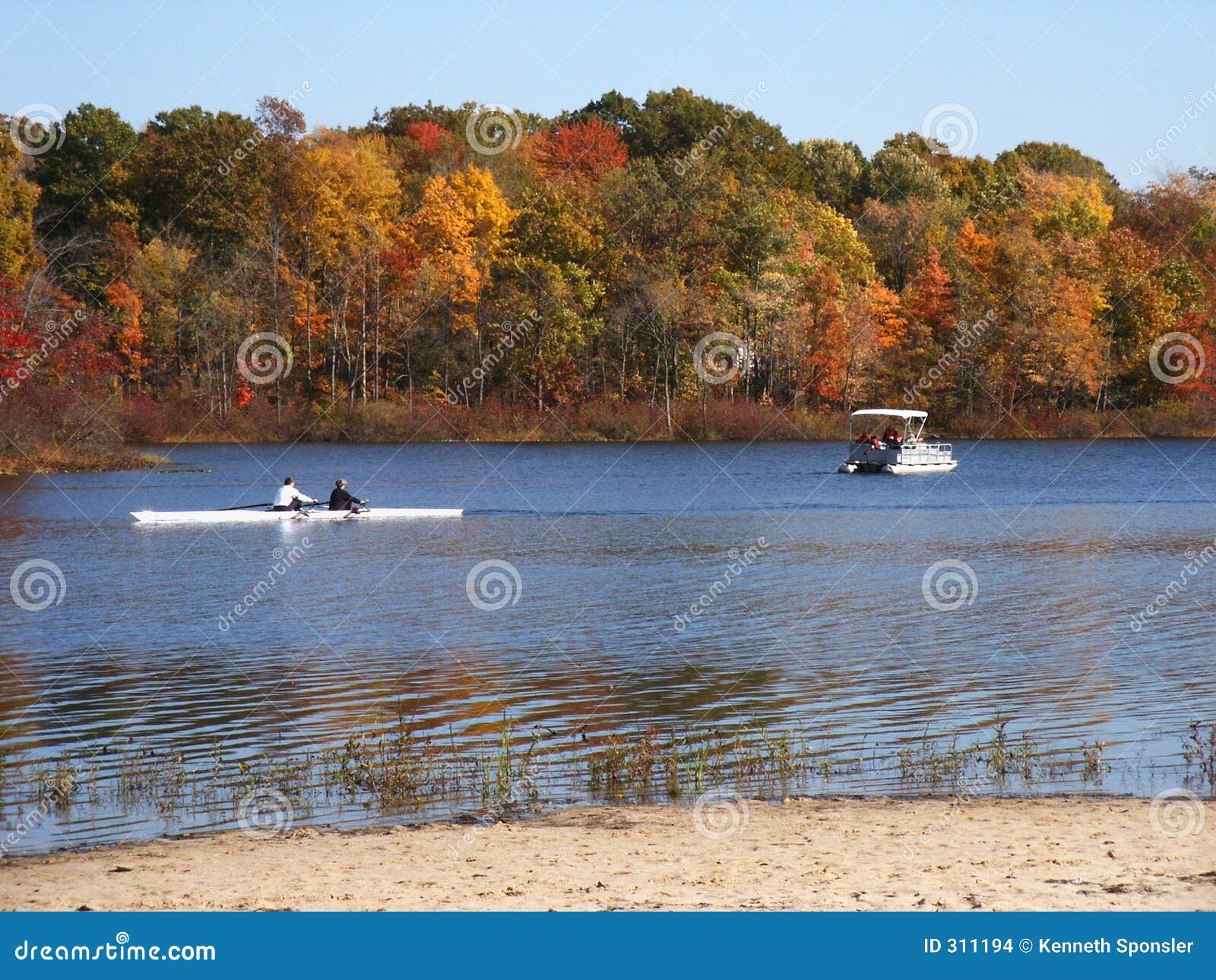 Watercraft: Skinny & Fat Stock Photo - Image of rower, foliage: 311194