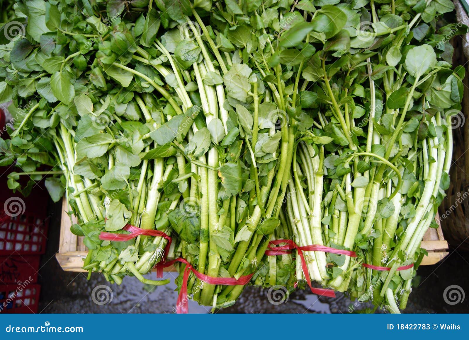Watercress stock image. Image of food, green, enjoy, vegetable - 18422783