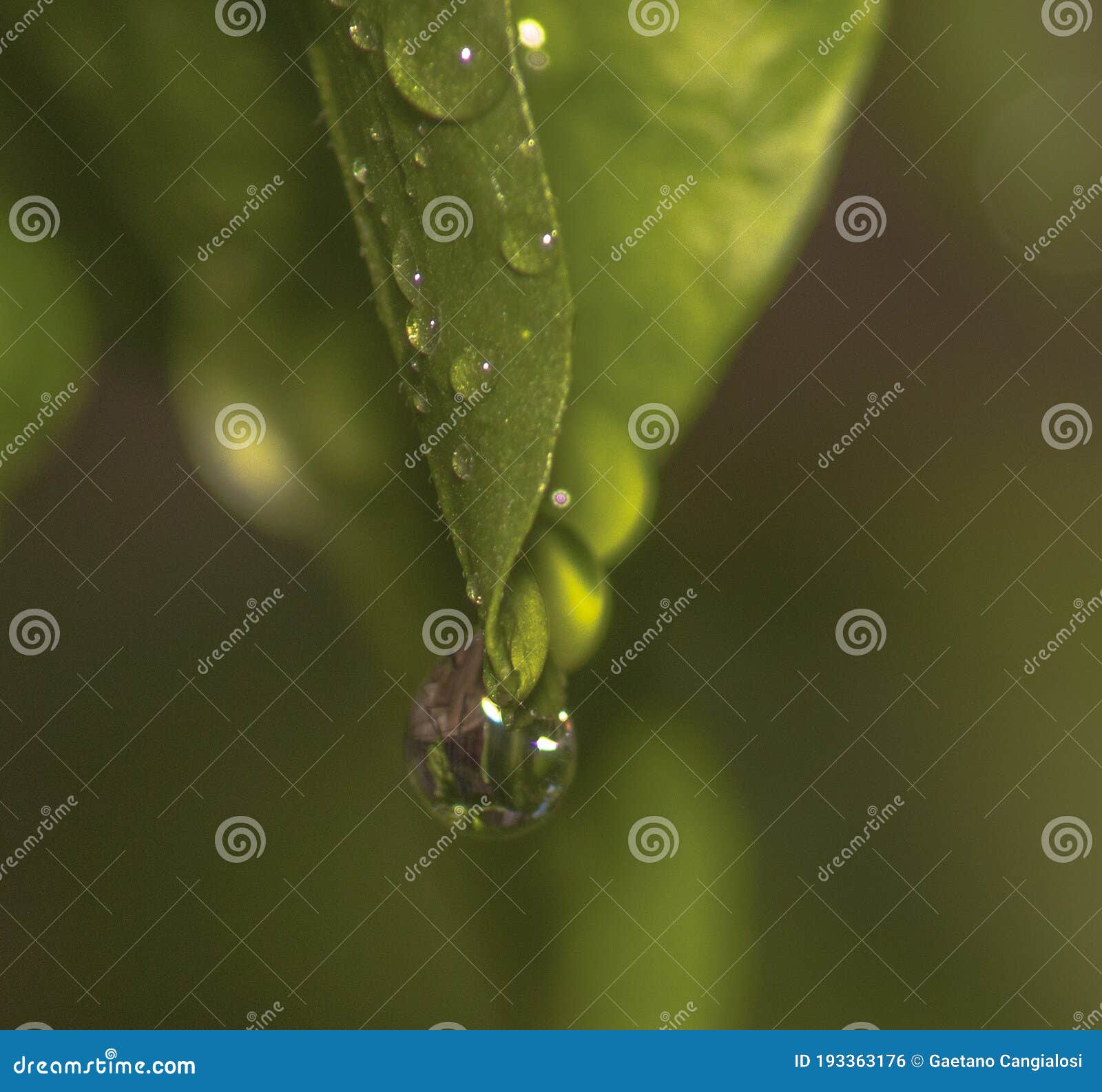 Waterdrop stock photo. Image of nature, details, water - 193363176