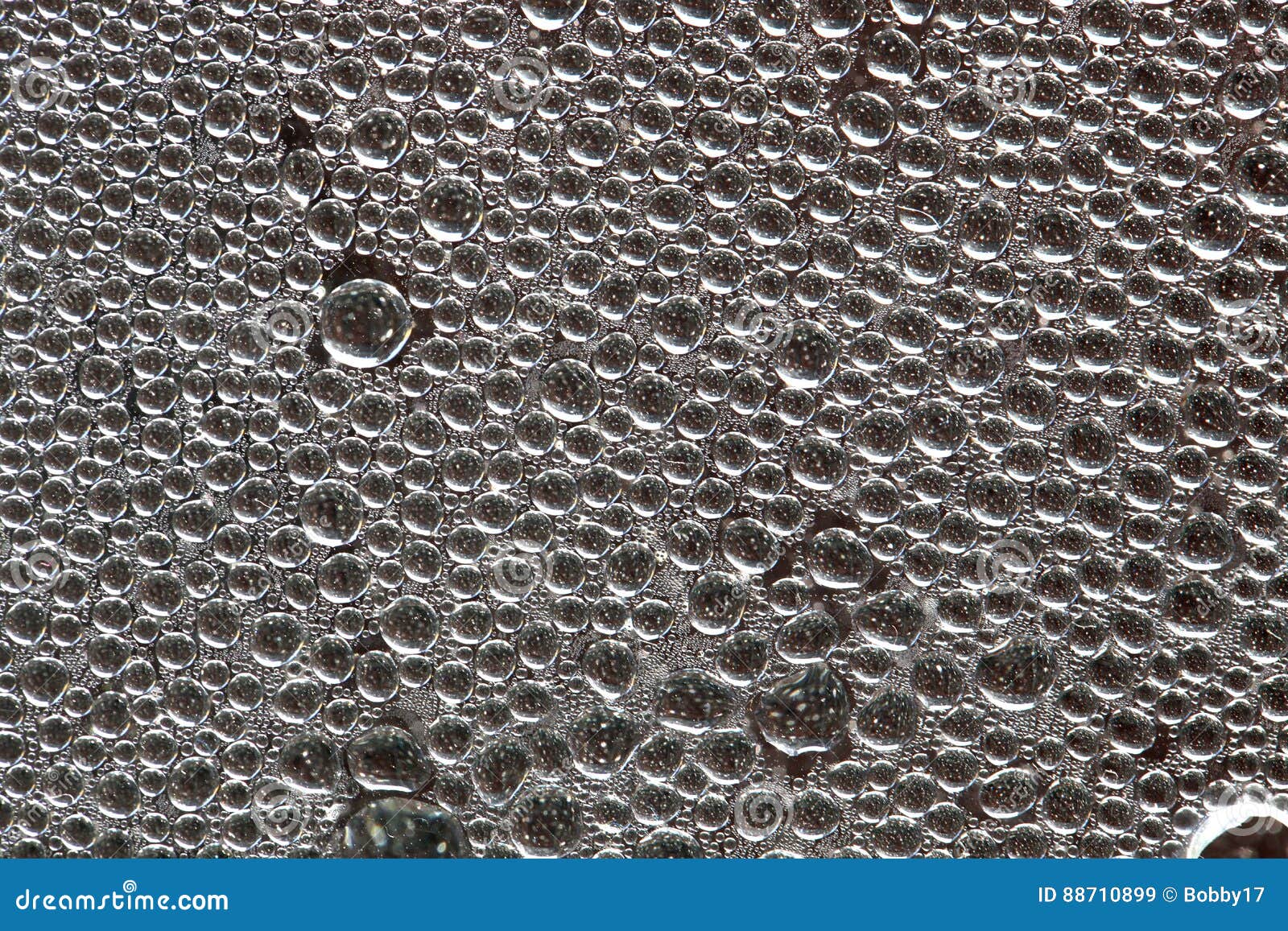 Waterdrops on glas stock image. Image of nature, freshness - 88710899