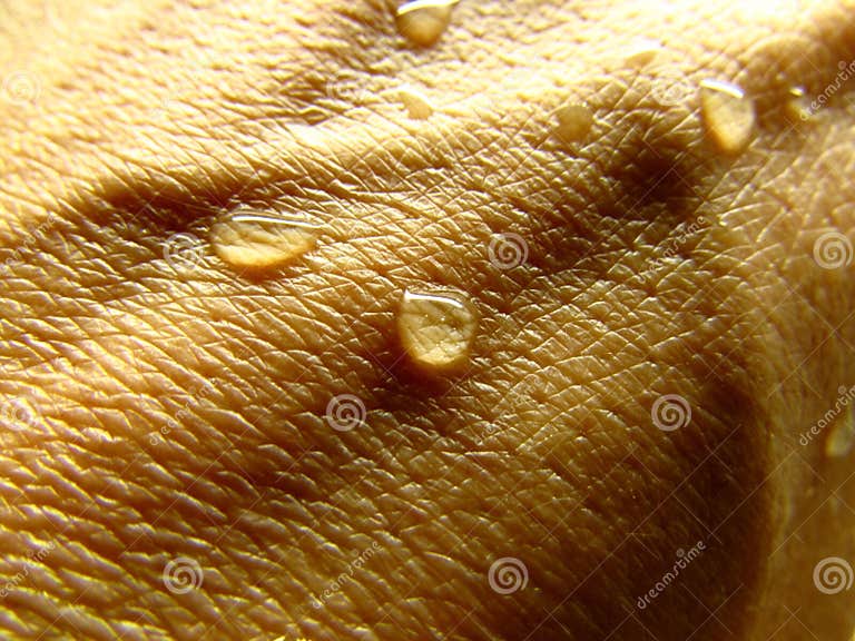 Waterdrops stock image. Image of skin, person, waterdrop - 45385497