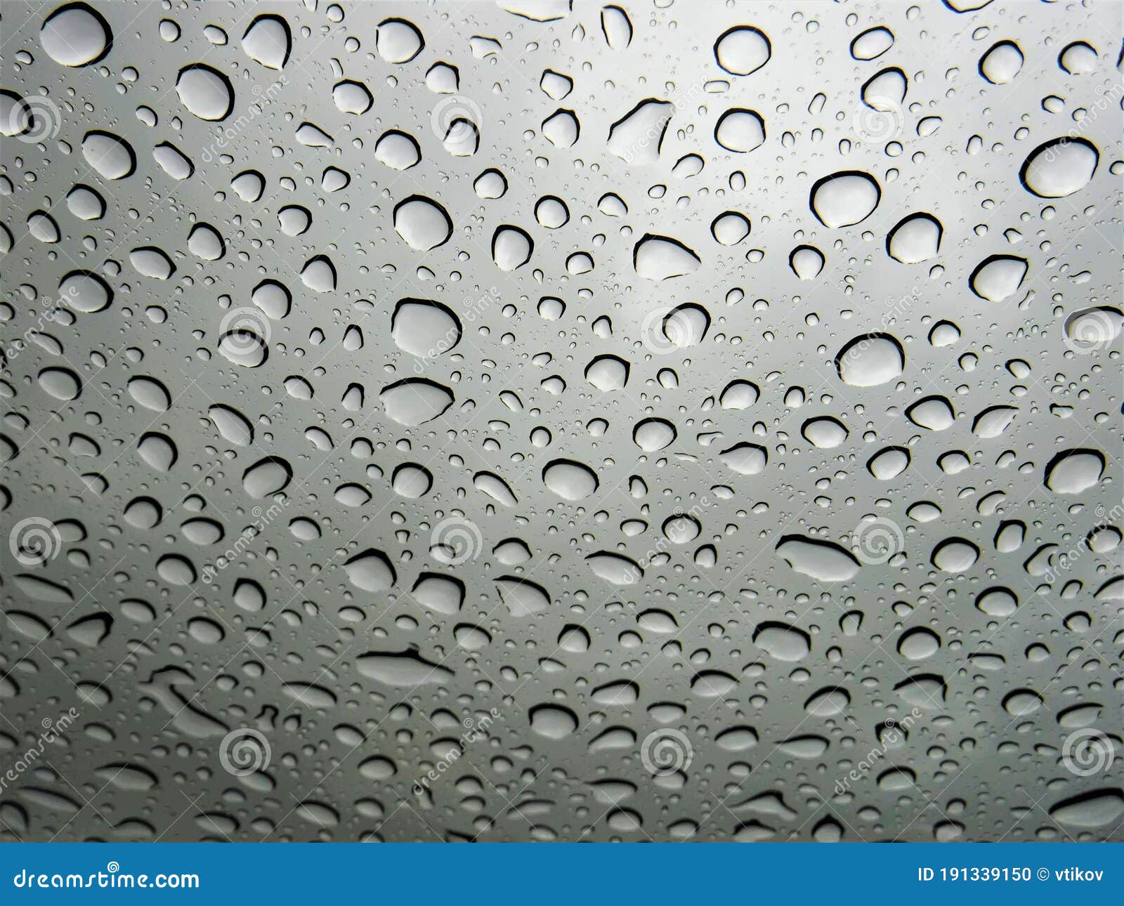 Waterdrops on a window stock photo. Image of gray, window - 191339150