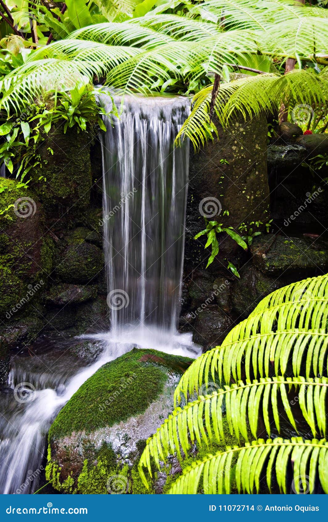 Waterfall stock photo. Image of splashing, clean, fall - 11072714