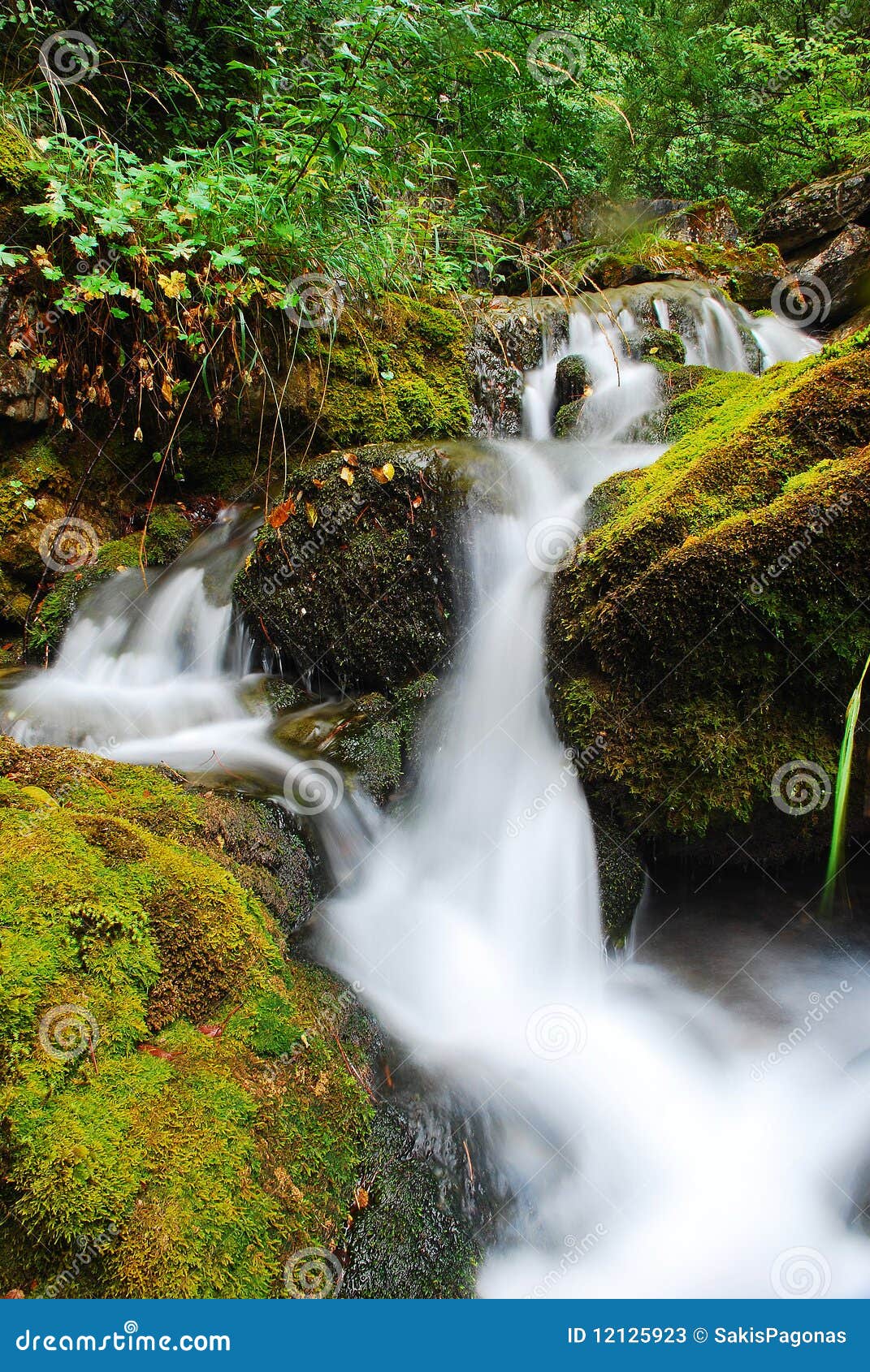 Waterfall stock image. Image of tree, water, chute, moss - 12125923