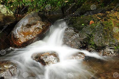WaterFall stock image. Image of green, hybrid, brook - 13272415