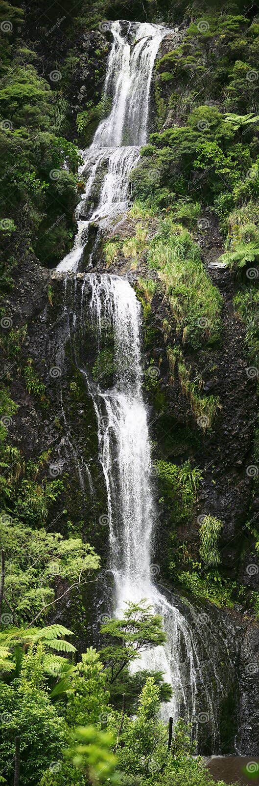 Waterfall stock photo. Image of green, cascade, waterflow - 14895822