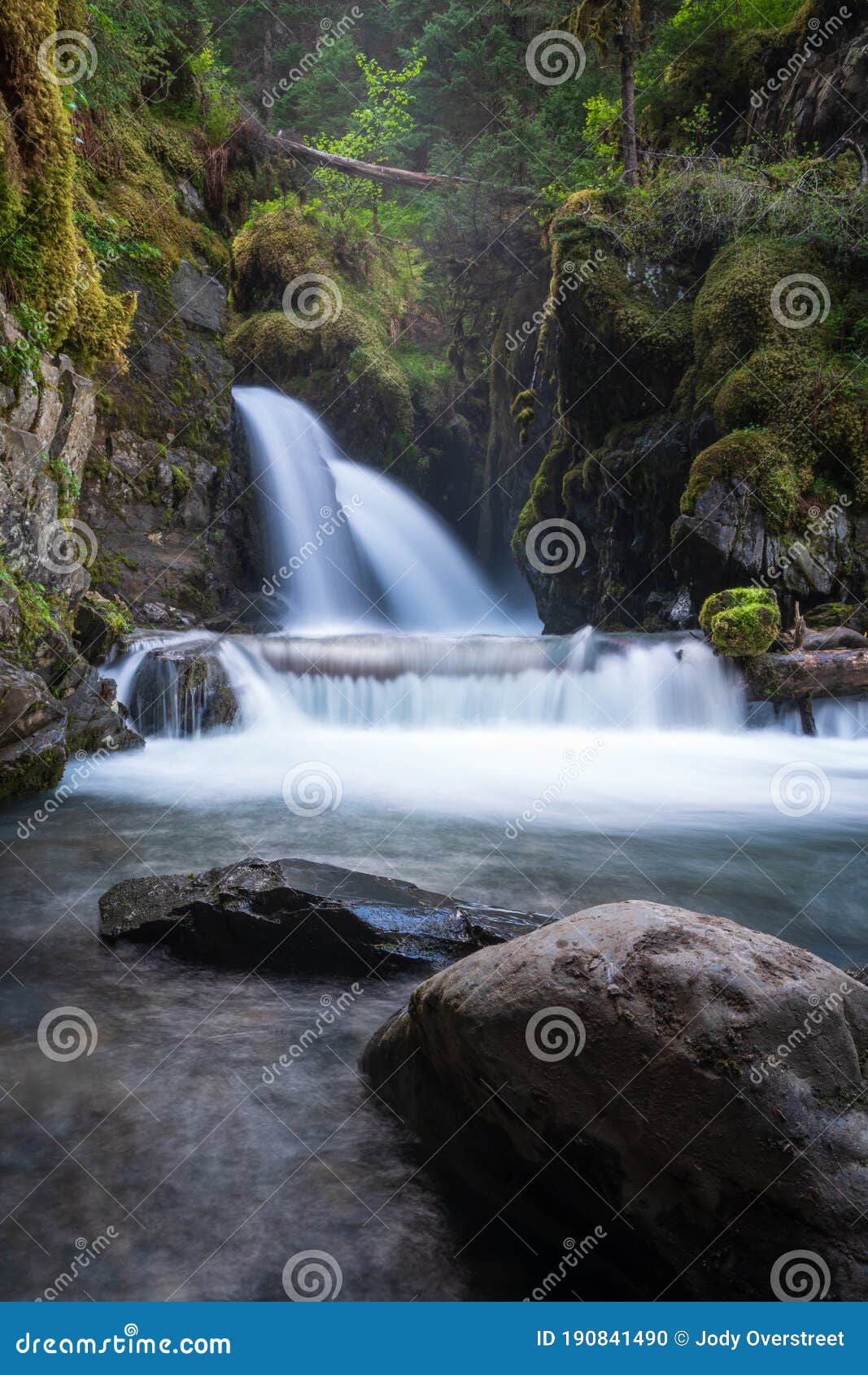 Waterfall in Cool Mossy Forest Stock Photo - Image of water, serene ...