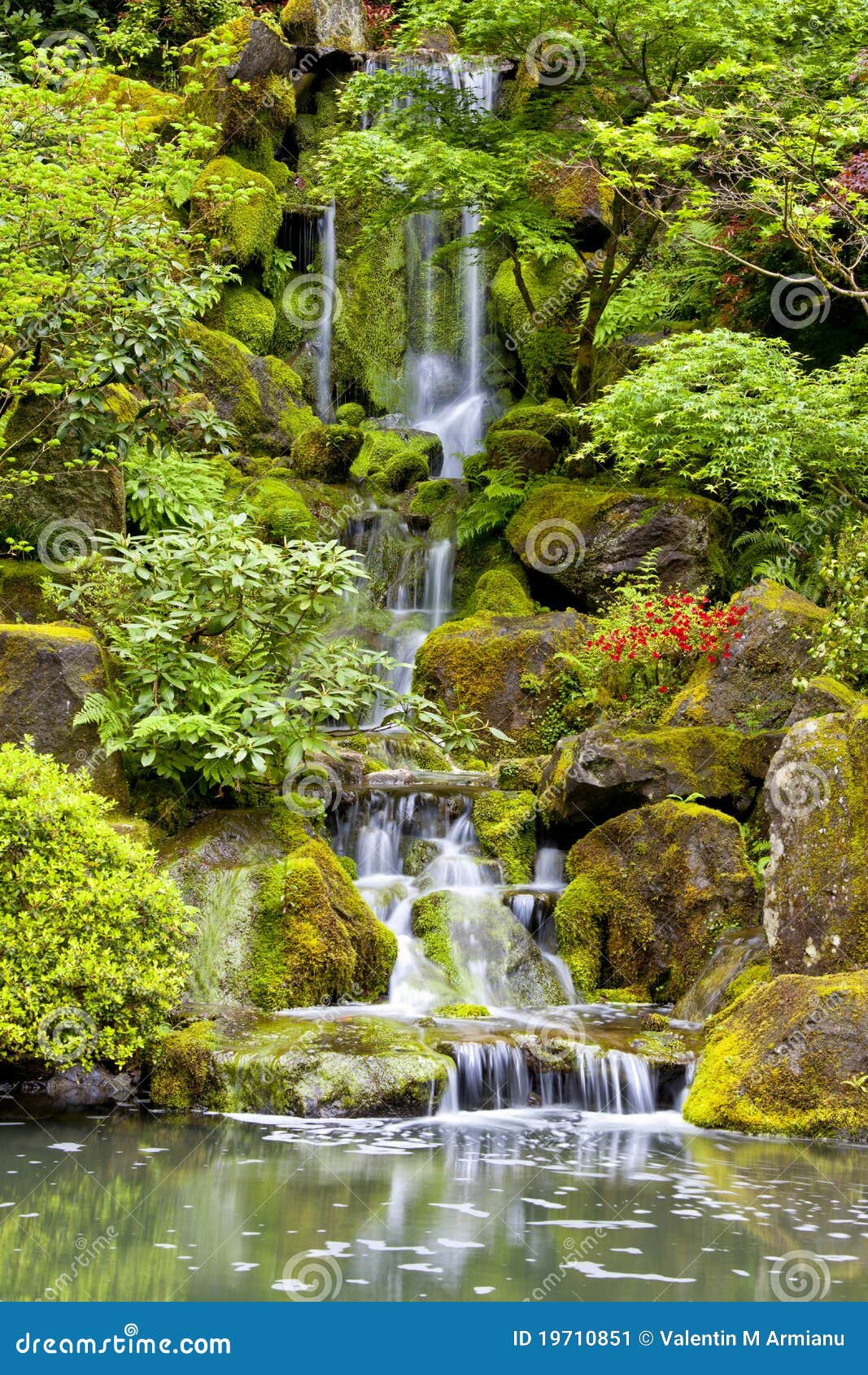 Waterfall stock image. Image of pond, calm, flowing, forest - 19710851