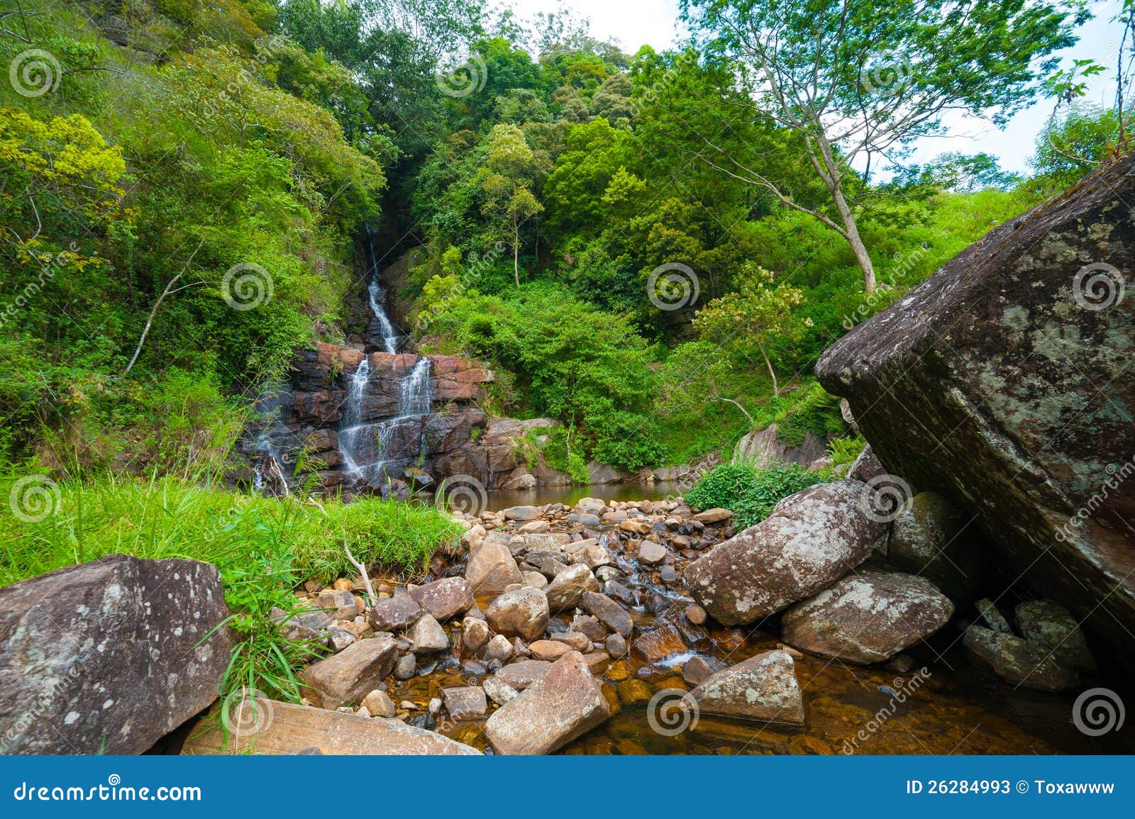 Waterfall stock image. Image of fall, beautiful, eliya - 26284993