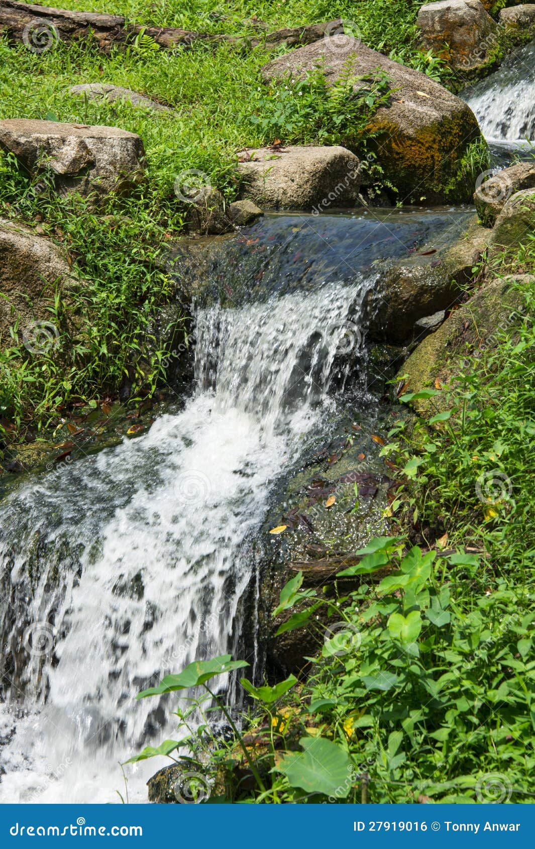 Waterfall stock photo. Image of level, grass, nature - 27919016
