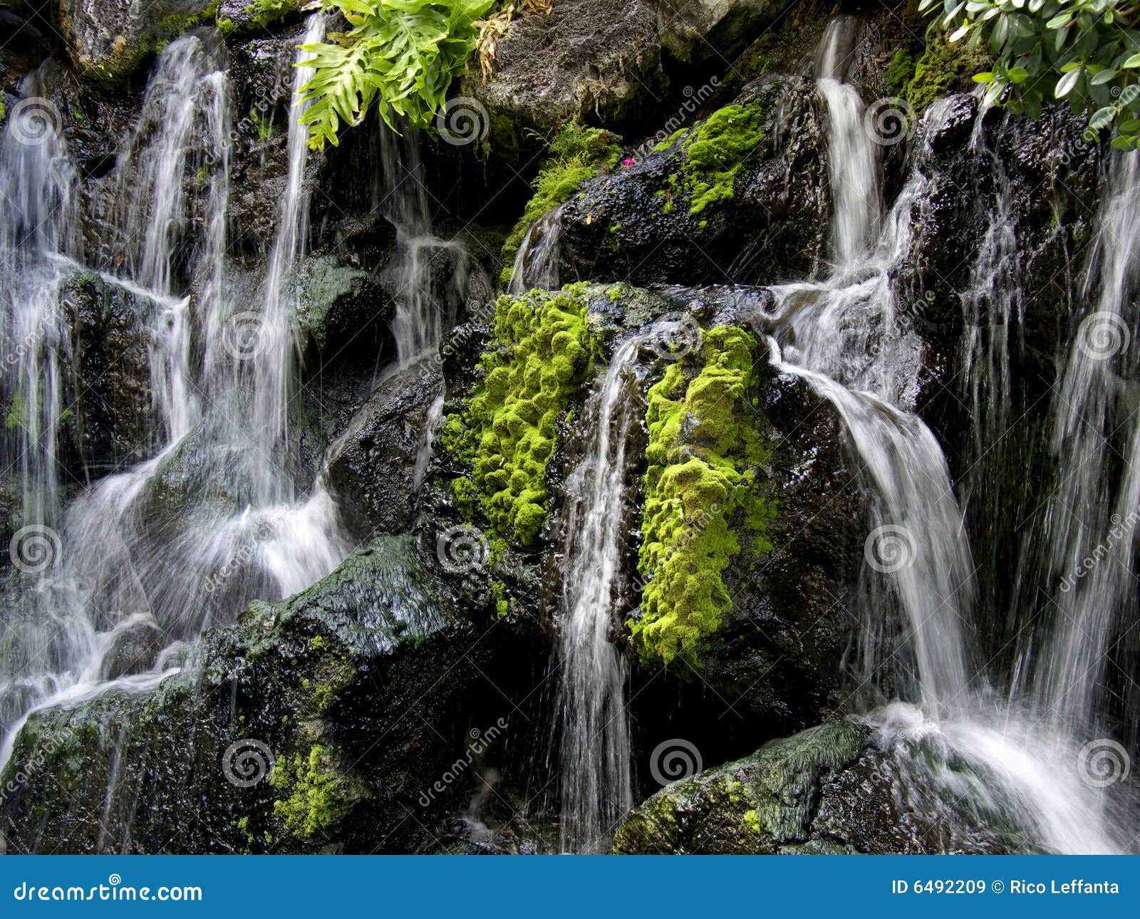 Waterfall stock image. Image of rock, cascada, serenity - 6492209