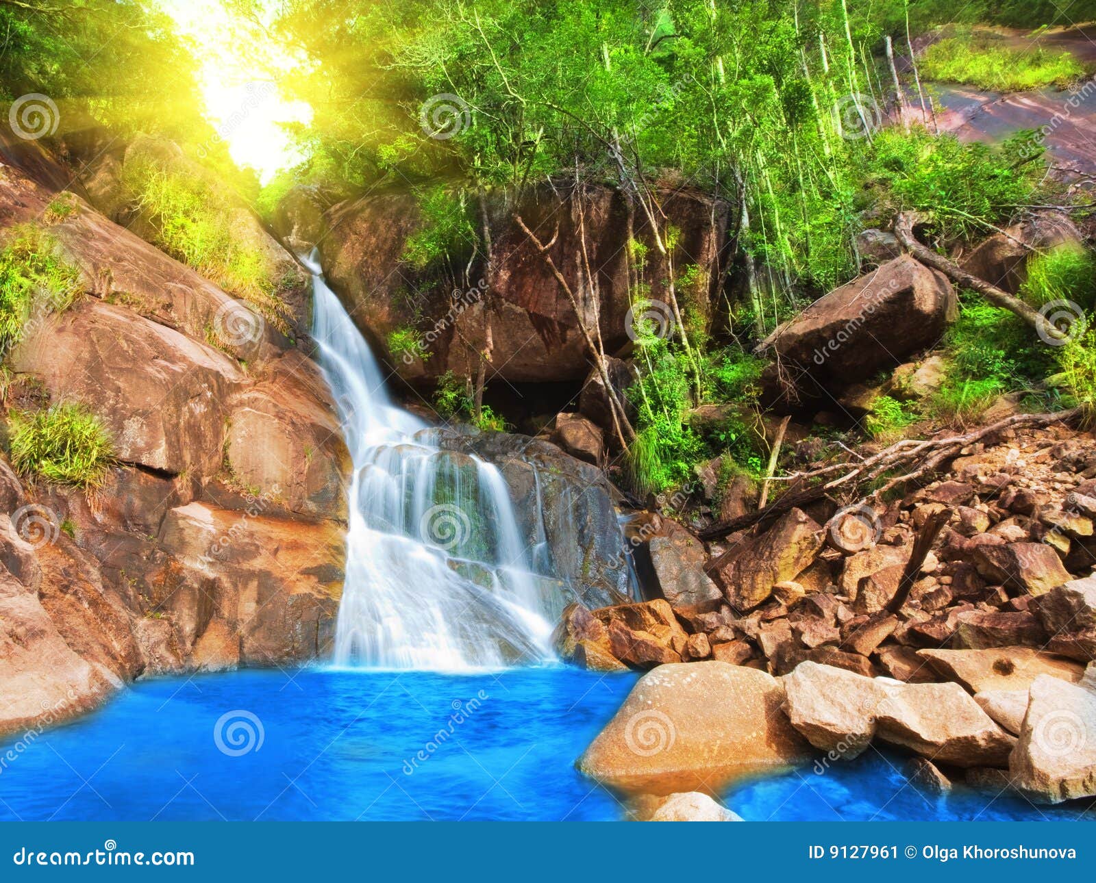 Waterfall stock image. Image of freshness, sunny, plants - 9127961