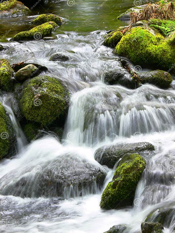 Waterfall stock photo. Image of stream, fall, stones, dolgoch - 9462114