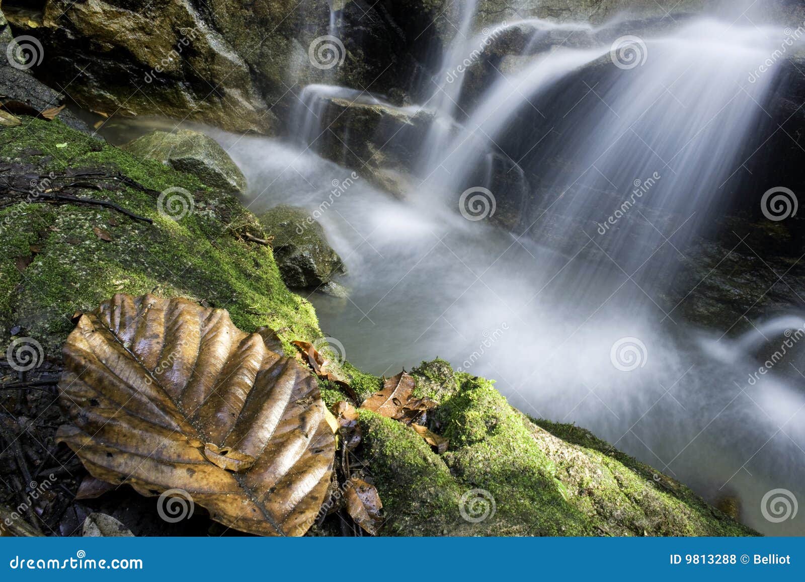 Waterfall stock photo. Image of running, muddy, cooling - 9813288
