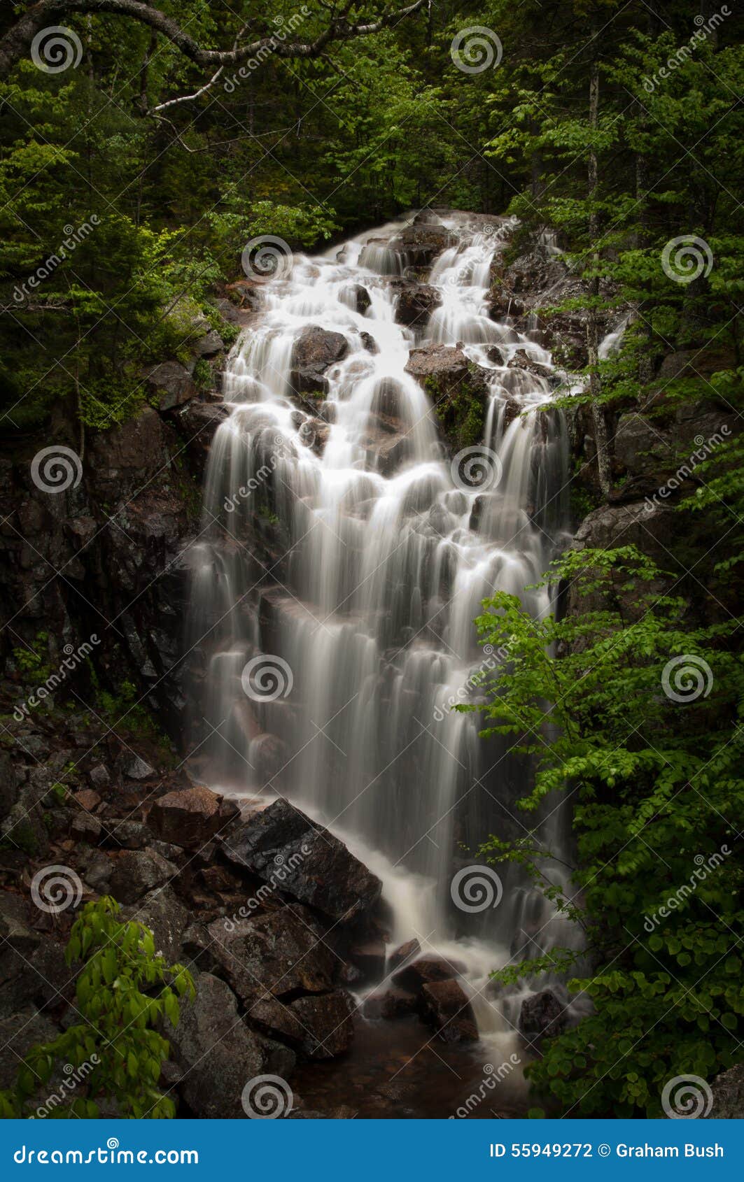 Waterfall, Acadia National Park Stock Photo - Image of maine, waterfall ...