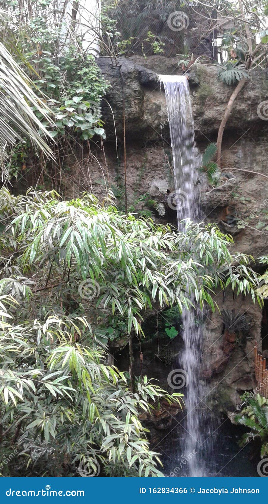 Waterfall Aqaurium Animals Zoo Water Stock Photo - Image of animals ...