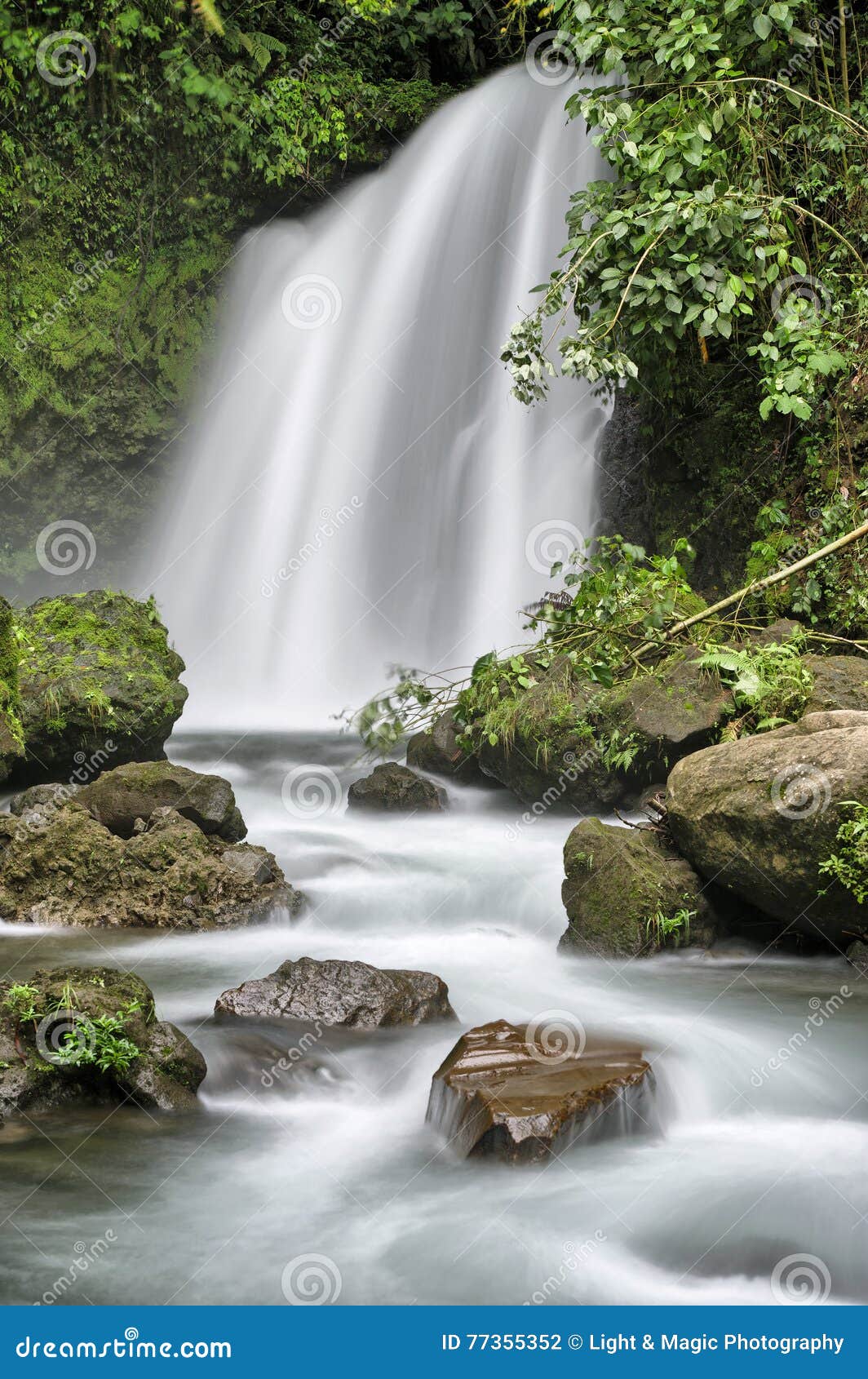 Waterfall, Arenal, Costa Rica Stock Photo - Image of waterfall, costa ...