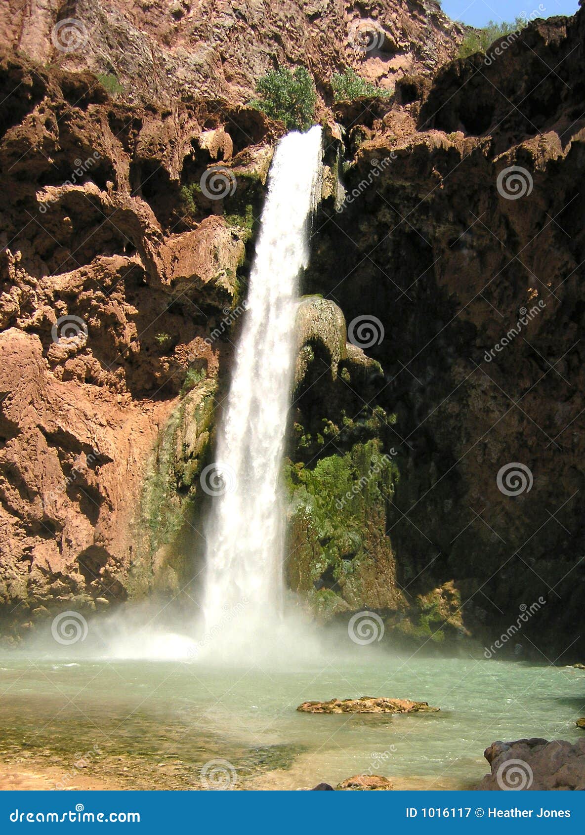 Waterfall, Arizona stock image. Image of trunk, canyon - 1016117