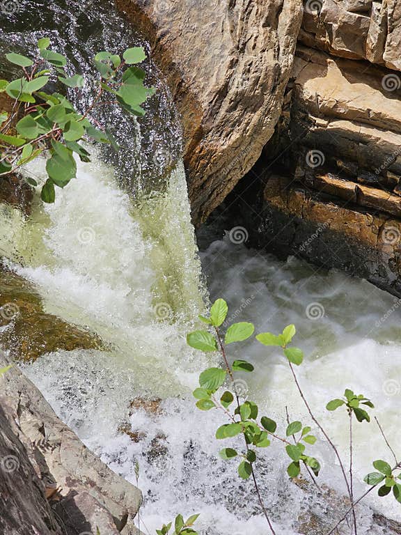 Waterfall in Ausable Chasm Canyon Stock Photo - Image of plant, rock ...