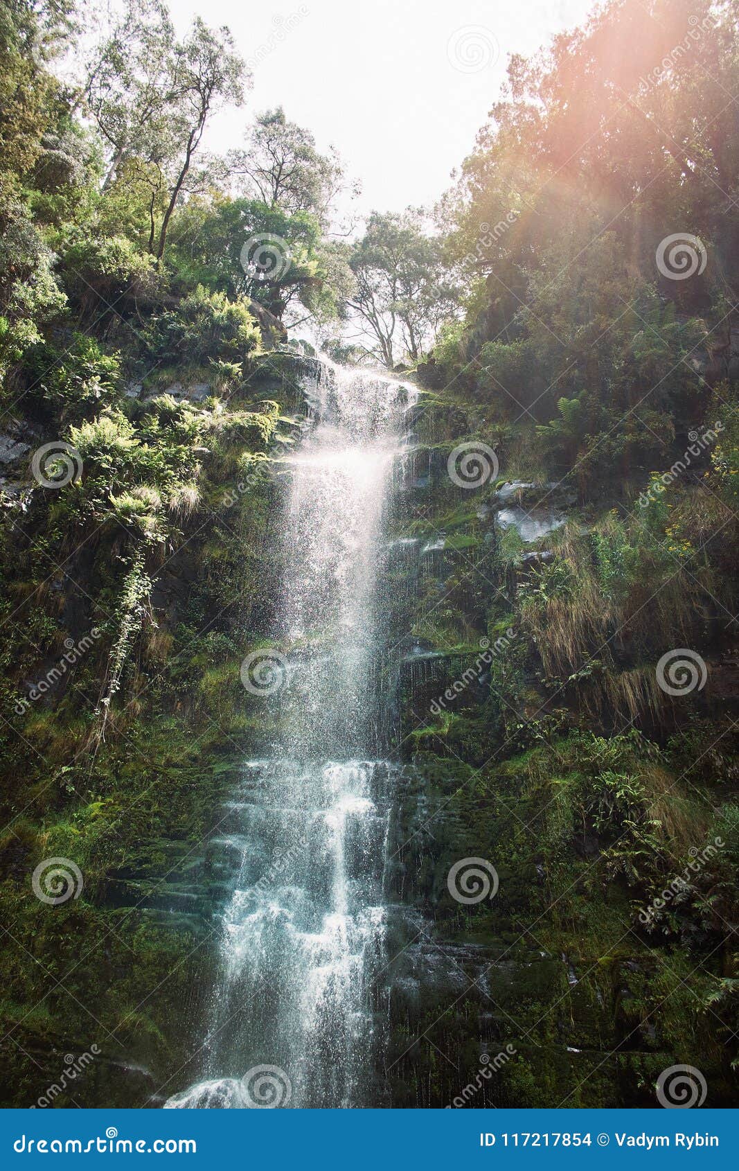 A waterfall in Paradise stock photo. Image of landscape - 117217854