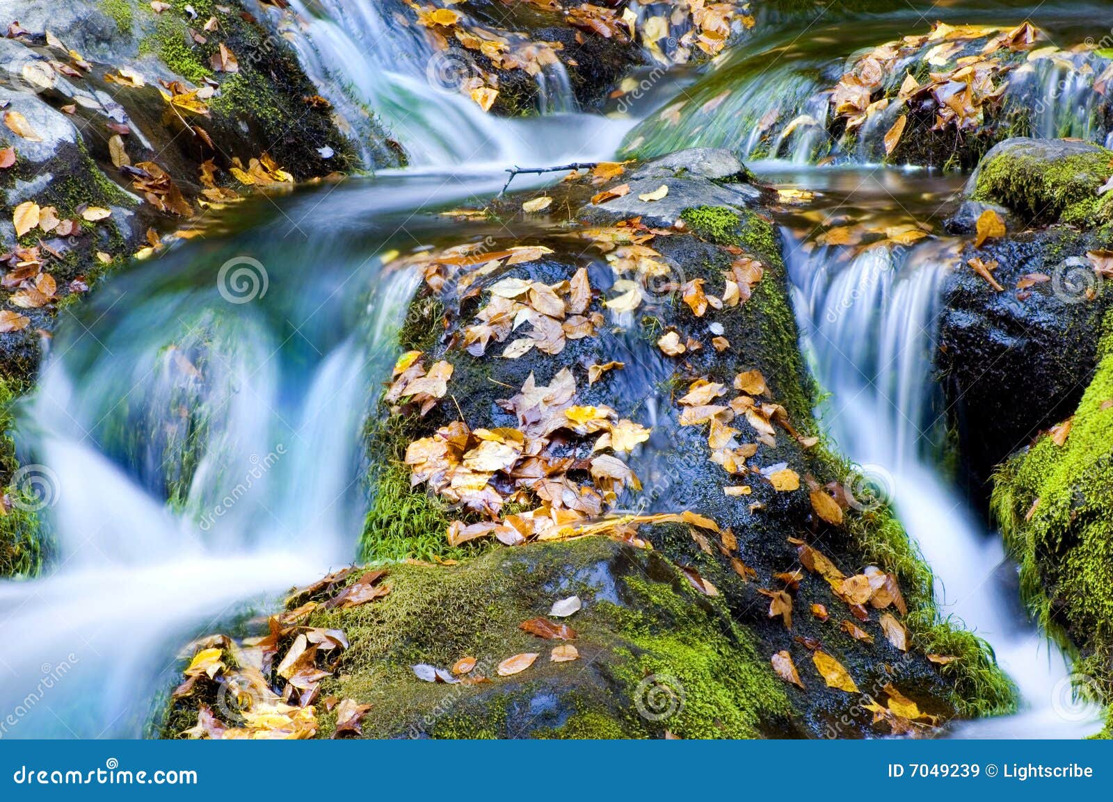 Waterfall in Autumn stock image. Image of freedom, cool - 7049239