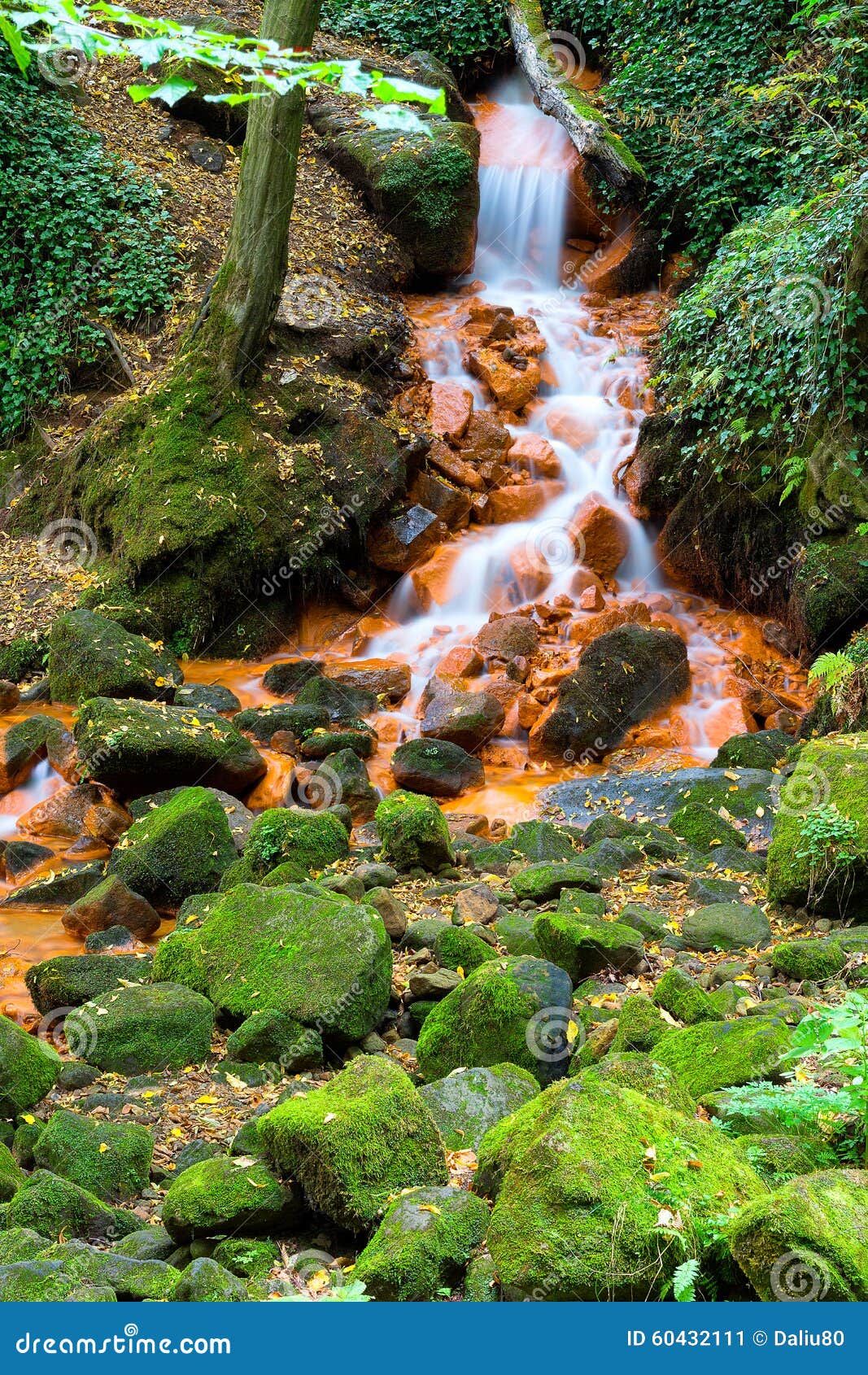 Waterfall in the Autumn, Colorful Leaves on the Ground Stock Image ...