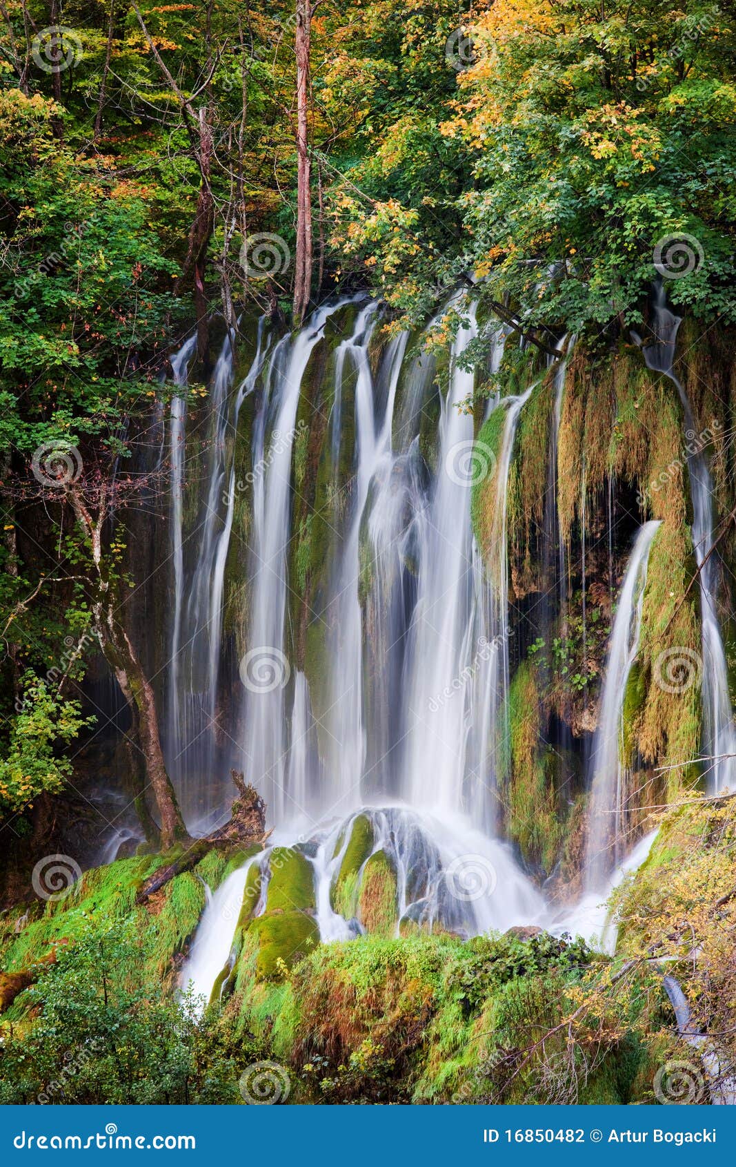 Waterfall in Autumn Forest stock photo. Image of tranquil - 16850482