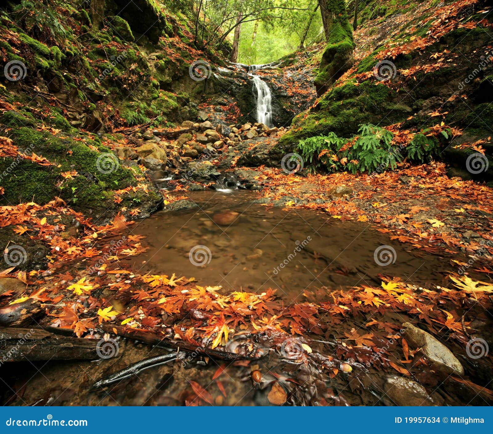 Waterfall in Autumn Forest stock photo. Image of canyon - 19957634