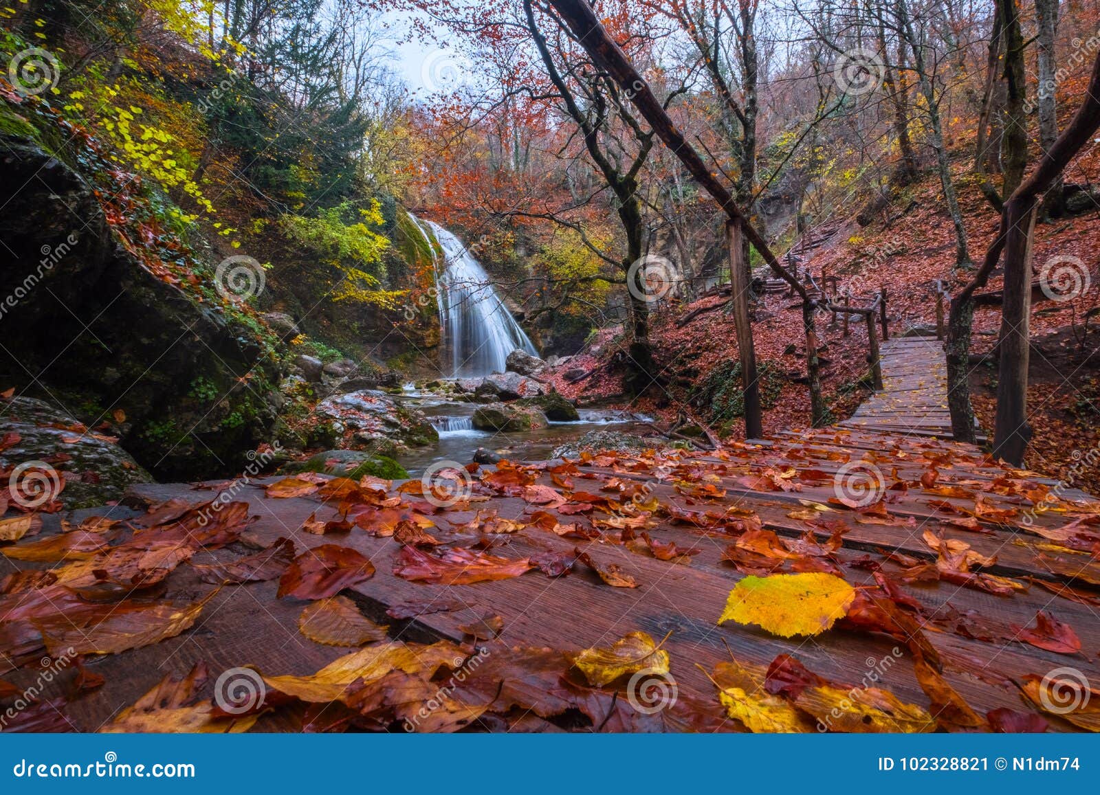 Waterfall in the Autumn Forest Stock Image - Image of forest, area ...