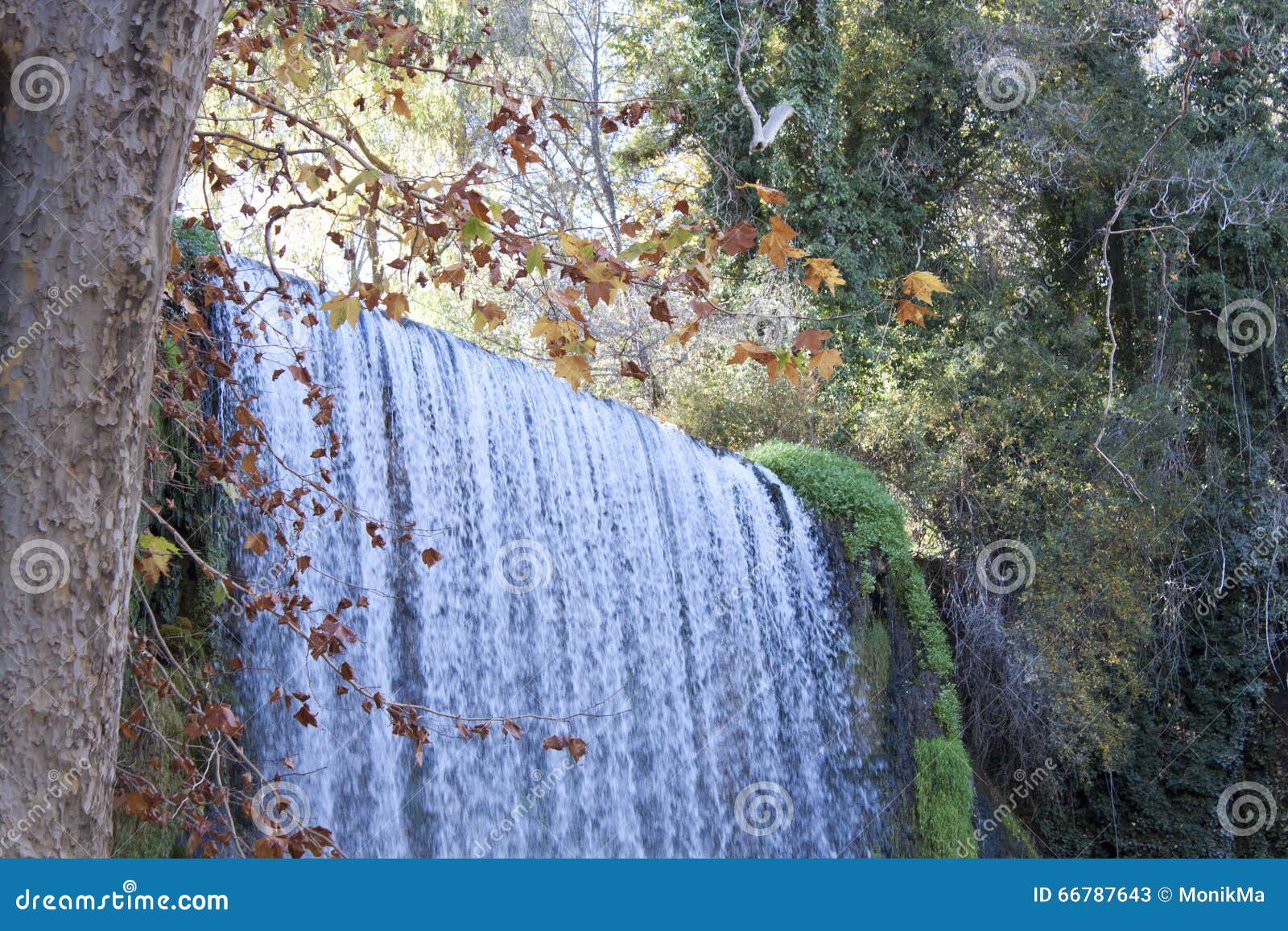 Waterfall in Autumn Full of Leaves Stock Image - Image of park, green ...