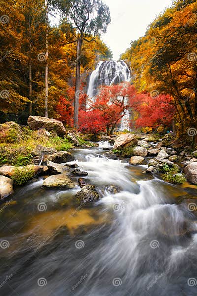 Waterfall in the autumn stock image. Image of natural - 46334663