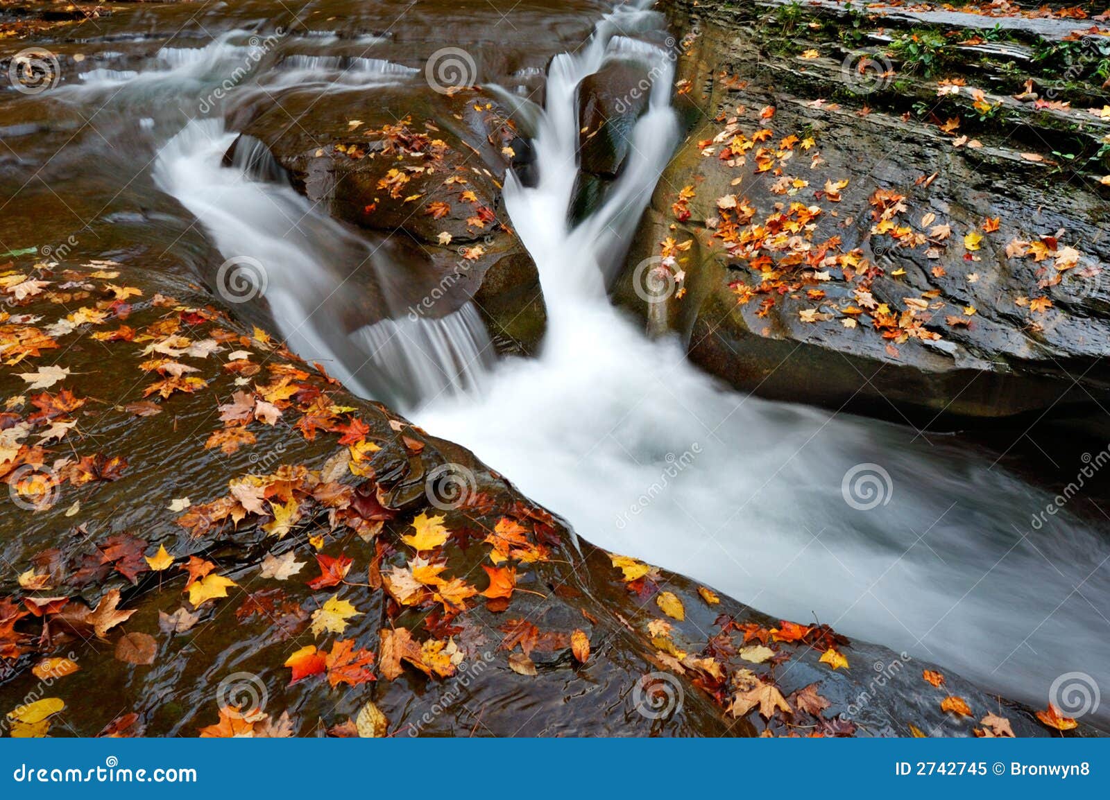 Waterfall and Autumn Leaves Stock Image - Image of nature, waterfall ...