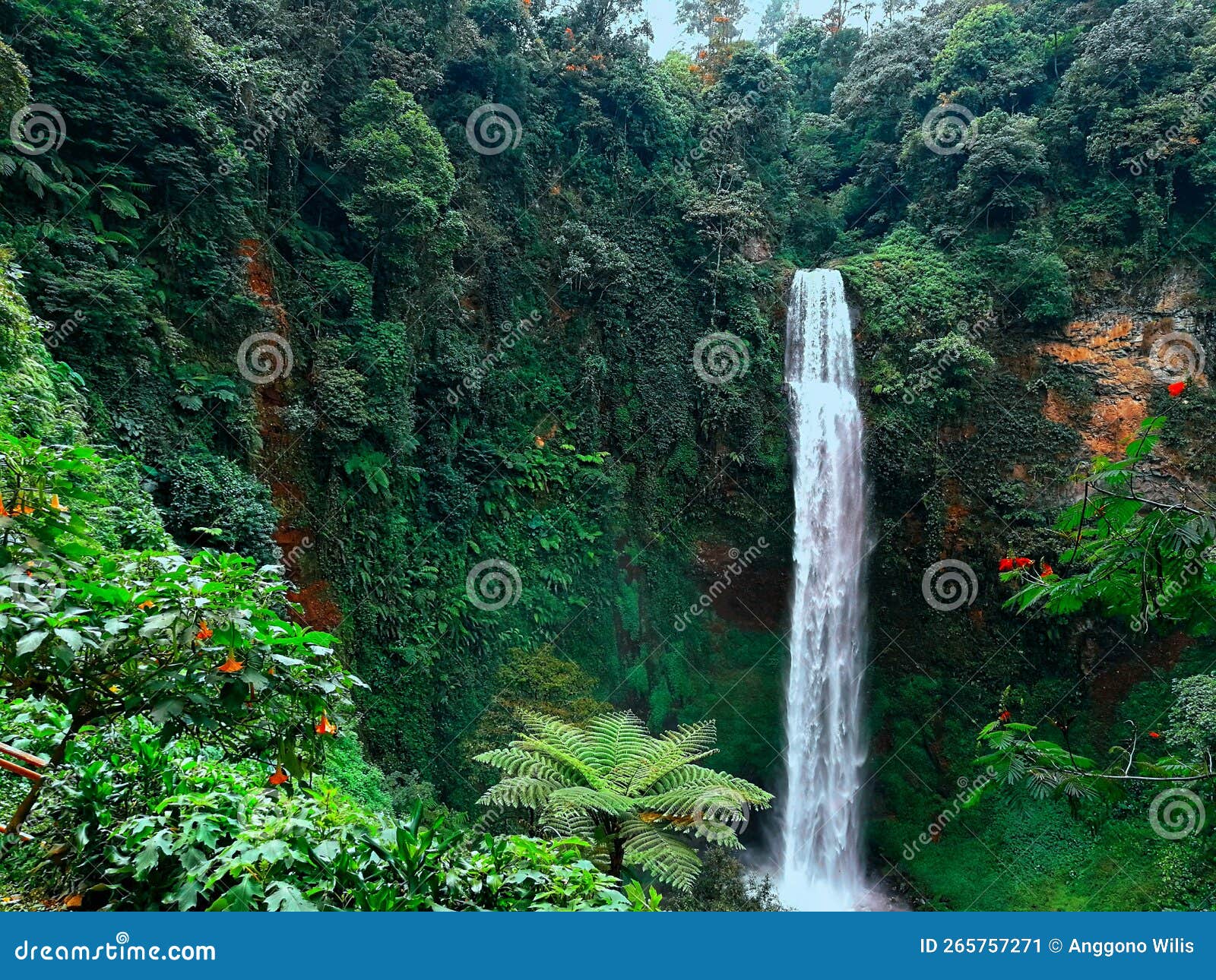 Waterfall in Bandung, West Java, Indonesia Stock Image - Image of ...