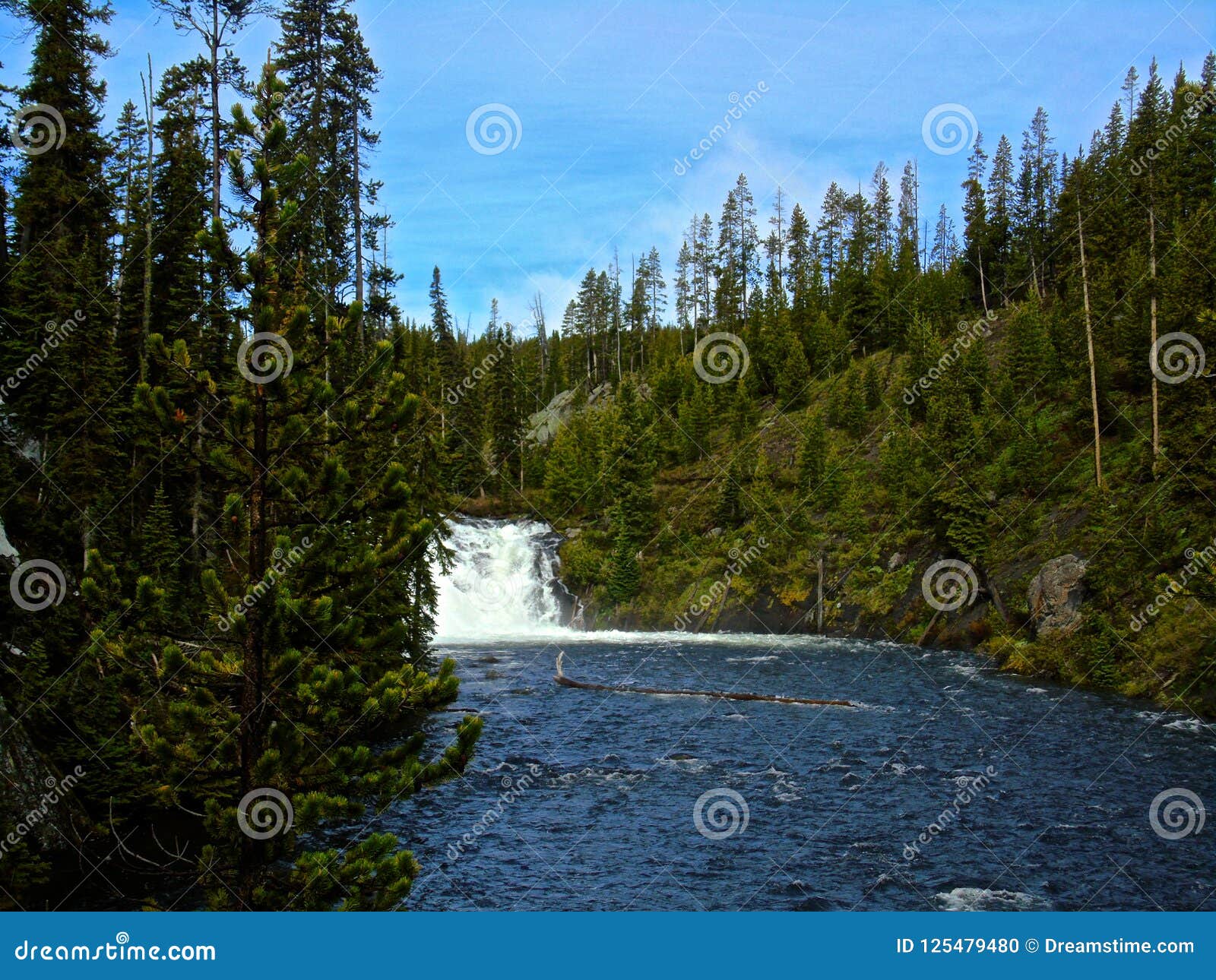 Waterfall into a Basin Lined with Trees Stock Photo - Image of crashing ...