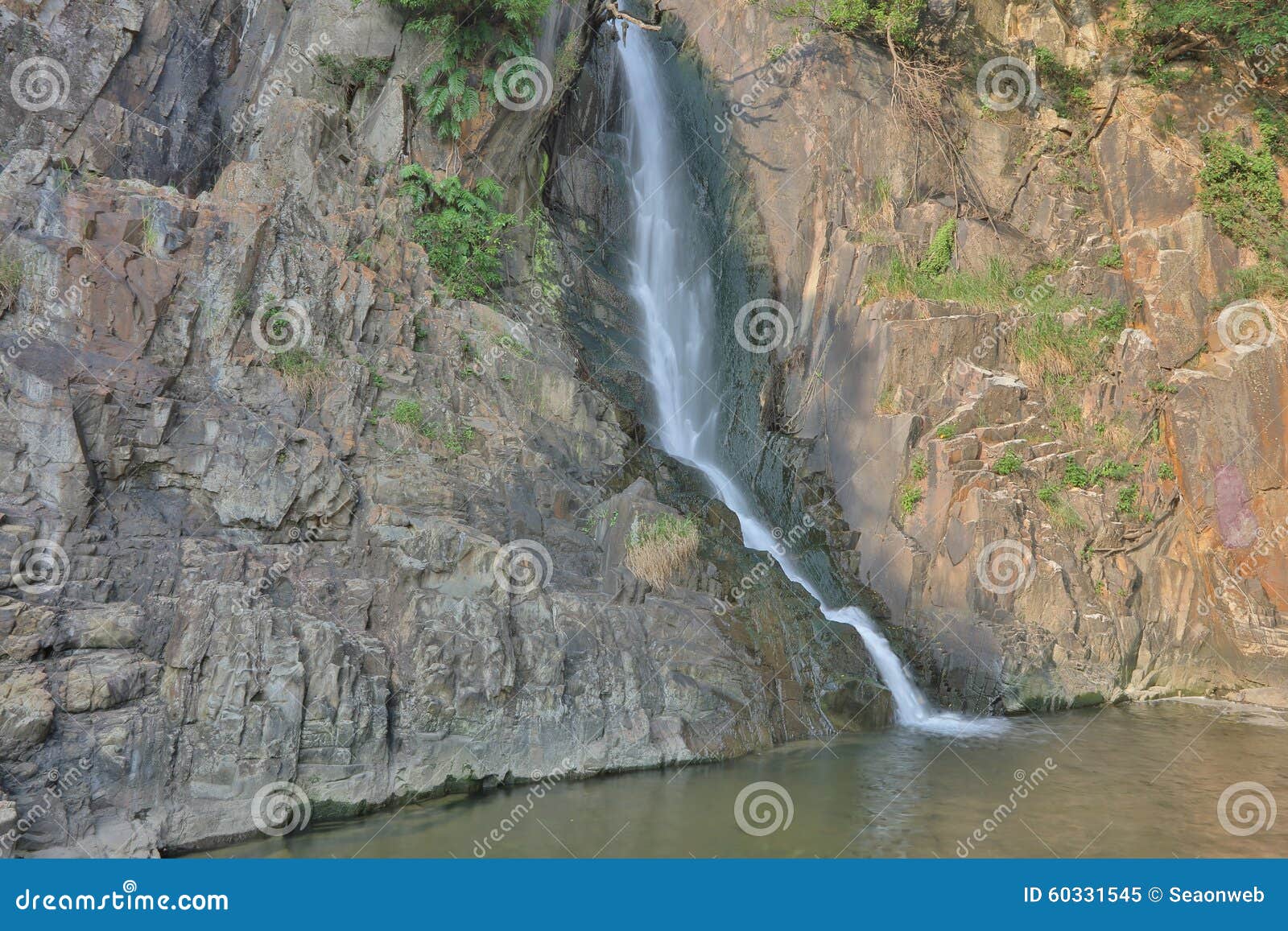 Waterfall Bay Park,hk stock image. Image of catch, holiday - 60331545
