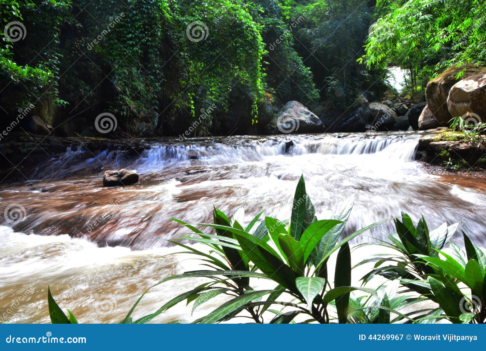 Waterfall beautiful Forest stock image. Image of landscape - 44269967