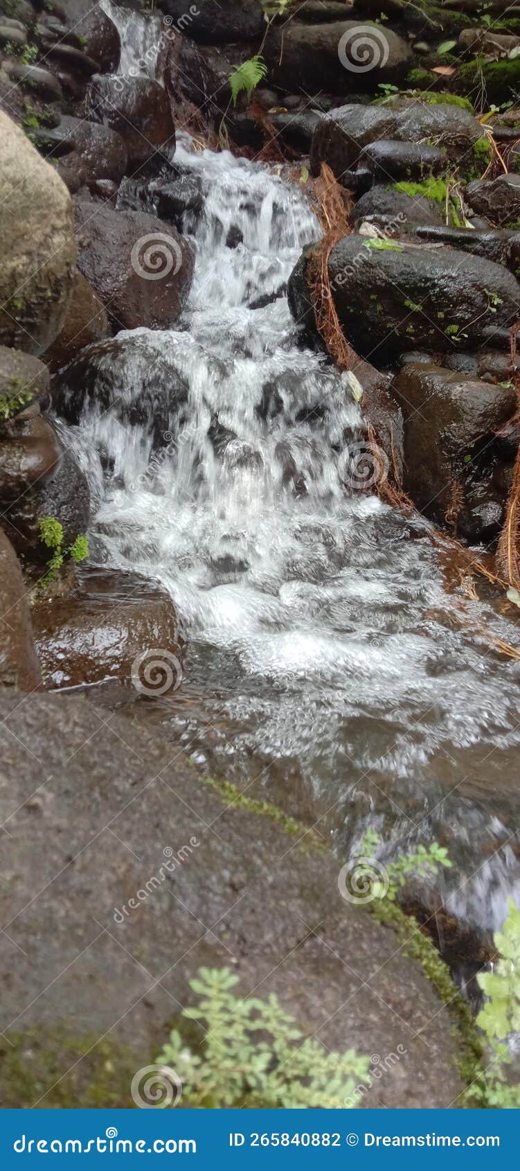 The Waterfall mountain stock photo. Image of ravine - 265840882