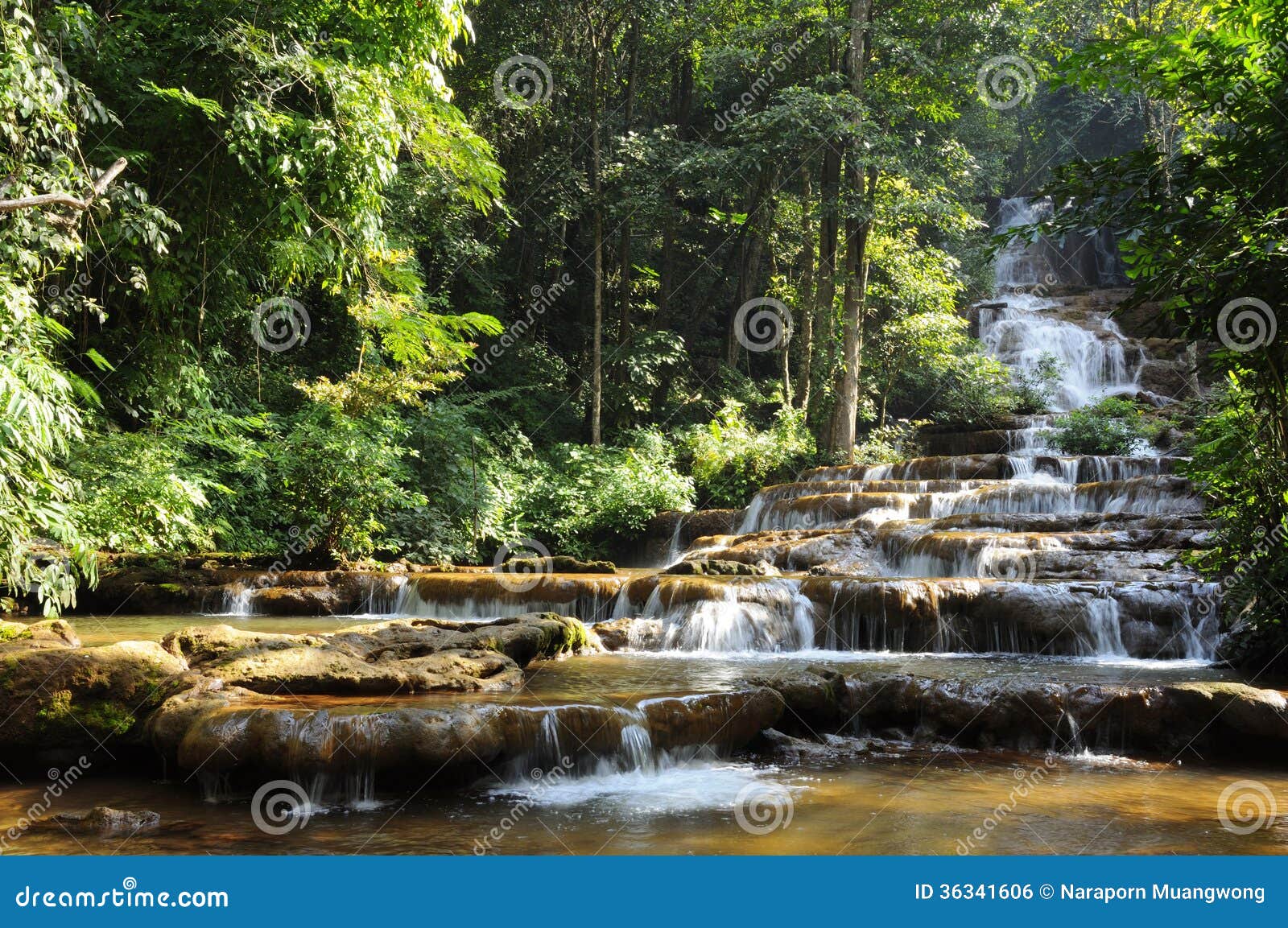 Waterfall stock photo. Image of freshness, overhang, leaf - 36341606