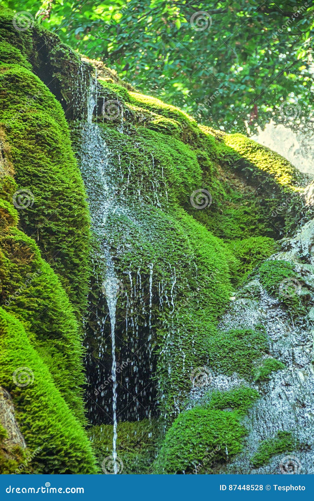 Waterfall. Beautiful Nature. Chill and Relax. Stock Photo - Image of ...